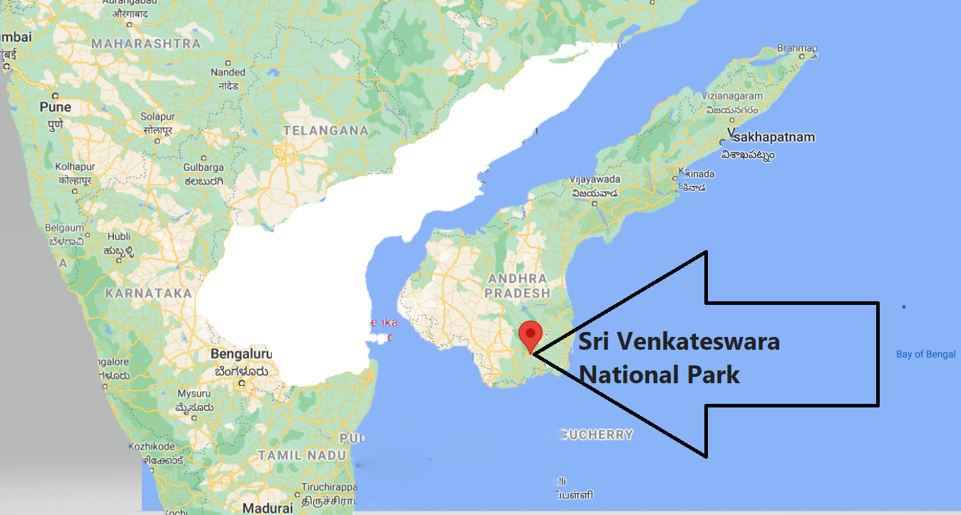 Sri Venkateswara National Park in Andhra Pradesh State cbseinsights.com