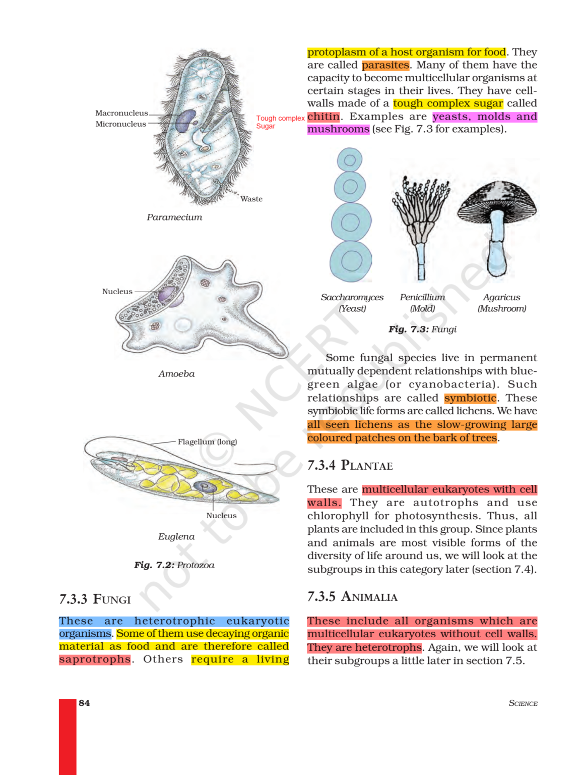 NCERT Book Class 9 (Science) Chapter 7 Diversity in Living Organisms