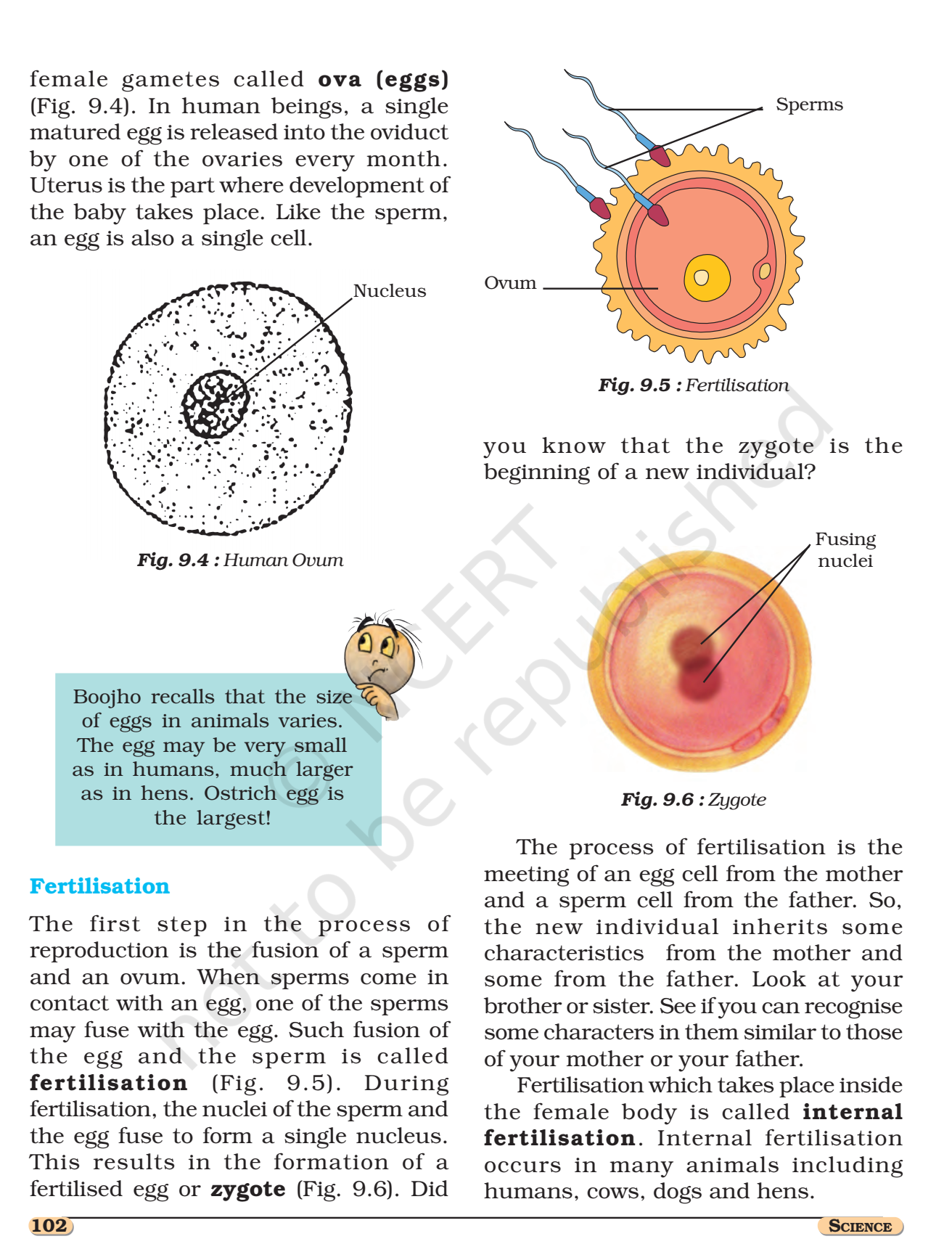 NCERT Book Class 8 (Science) Chapter 9 Reproduction in Animals