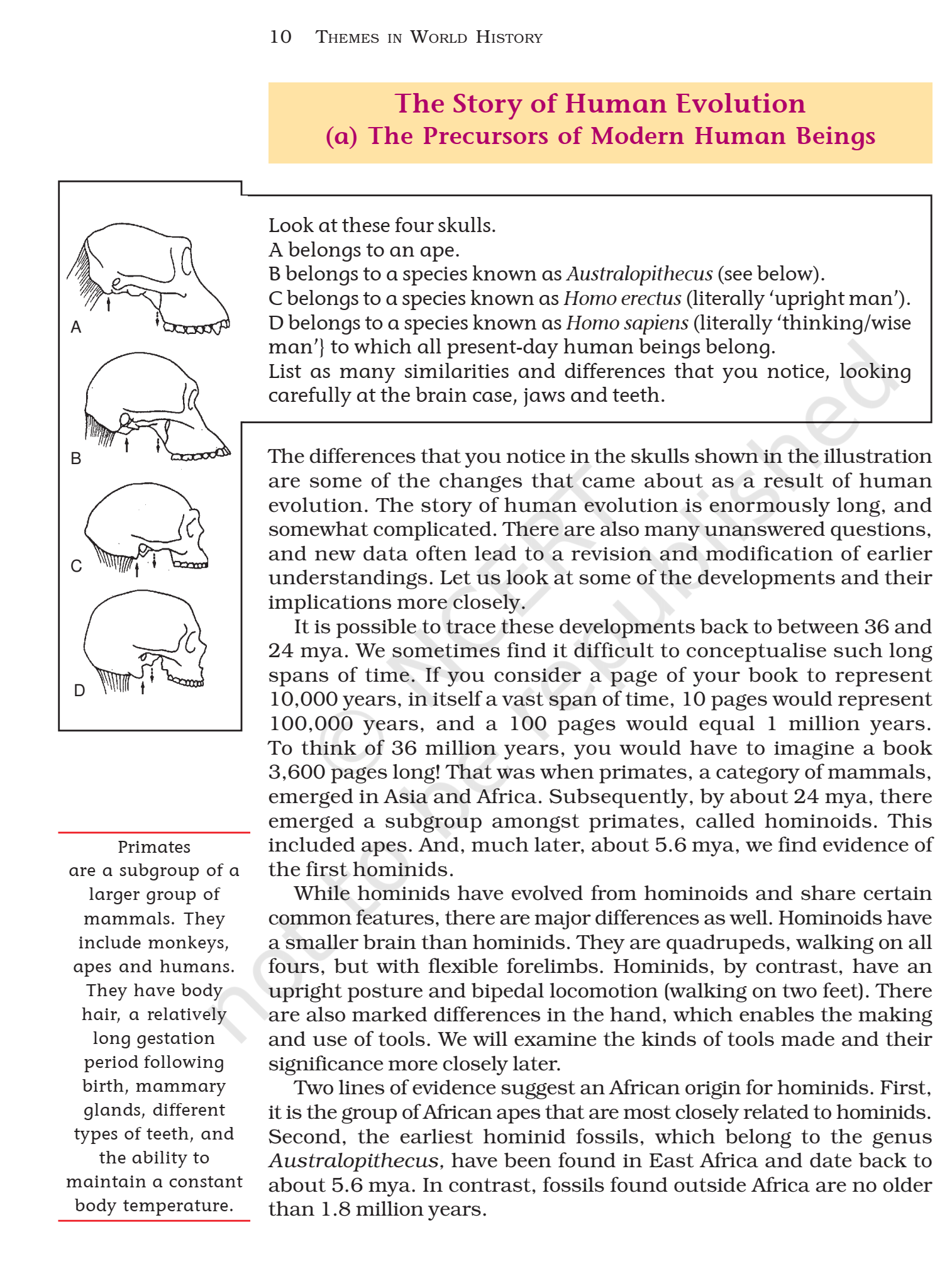 NCERT Book Class 11 (History) Chapter 1 From the Beginning of Time