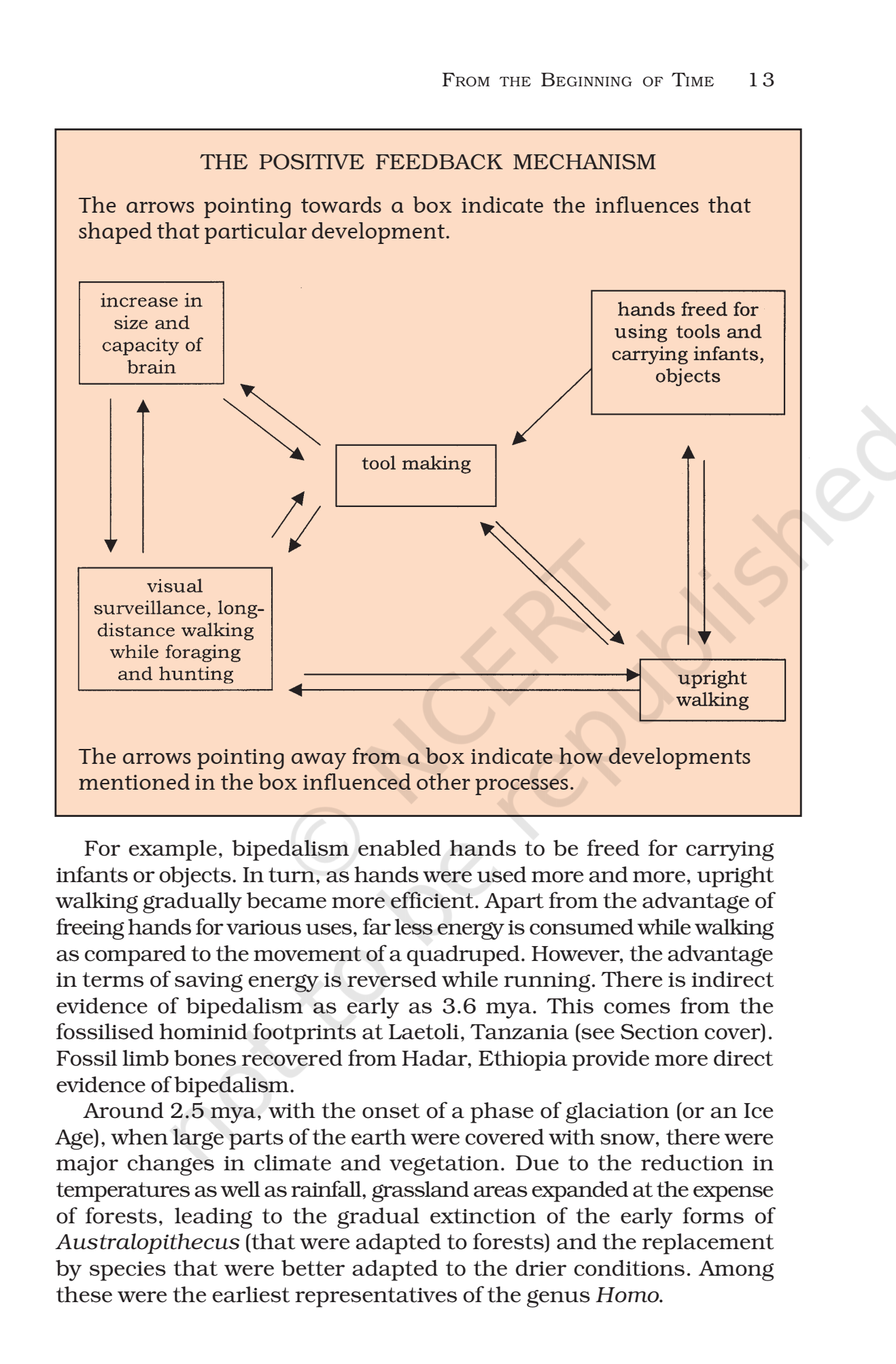 NCERT Book Class 11 (History) Chapter 1 From the Beginning of Time
