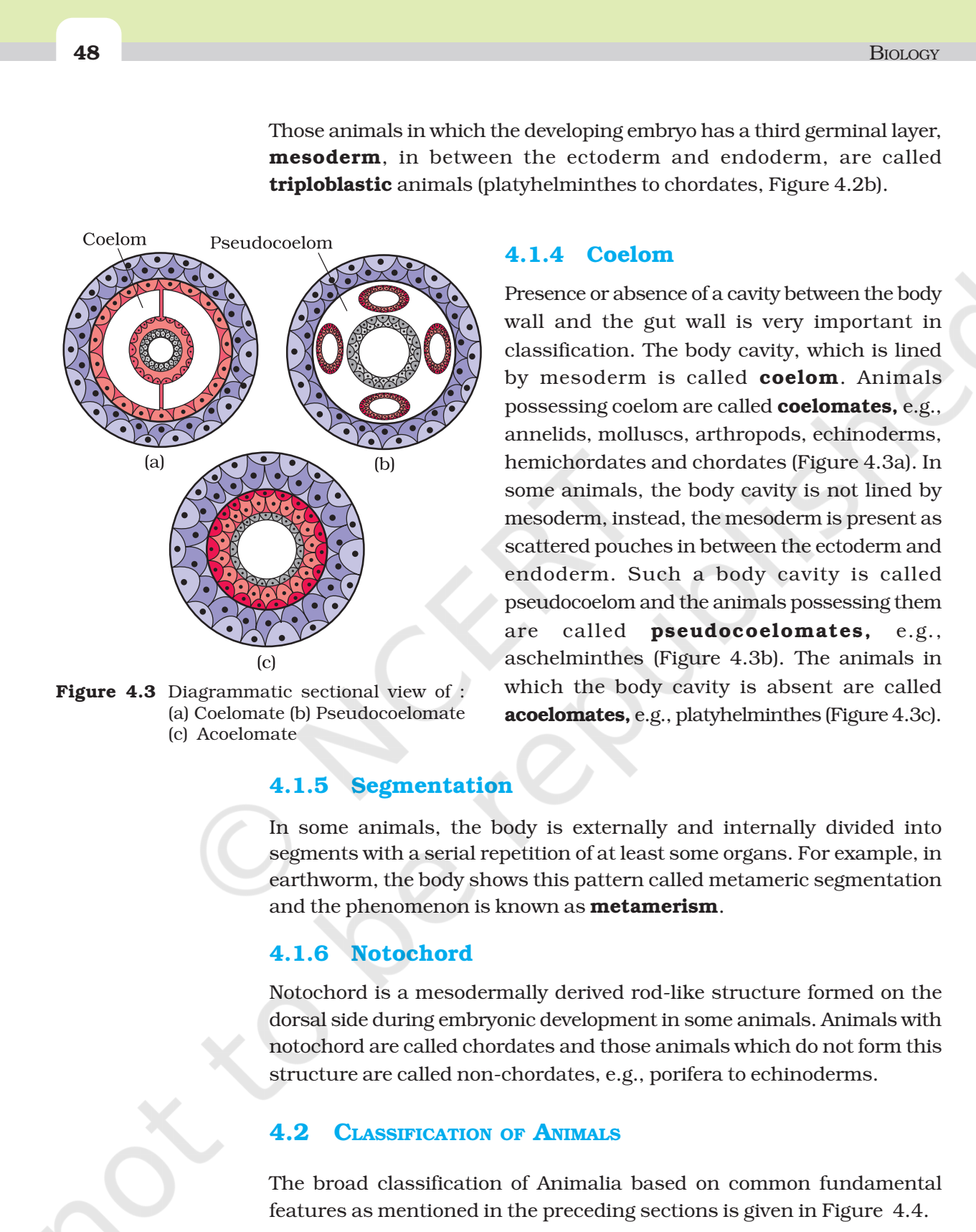 NCERT Book Class 11 (Biology) Chapter 4 Animal Kingdom
