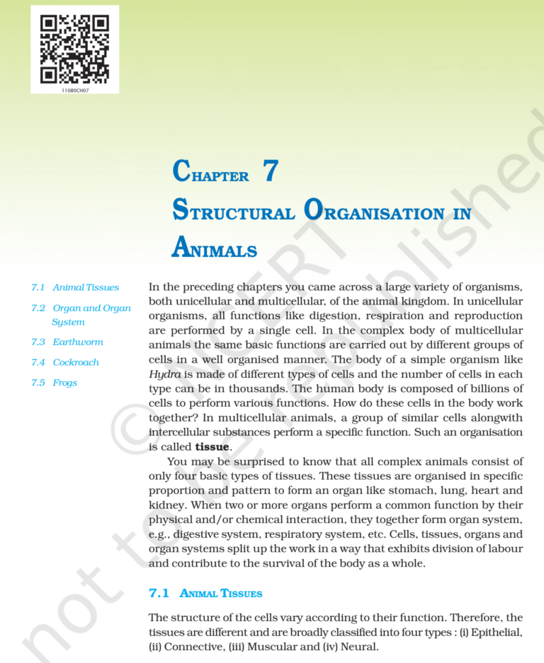 NCERT Book Class 11 (Biology) Chapter 7 Structural Organisation in ...