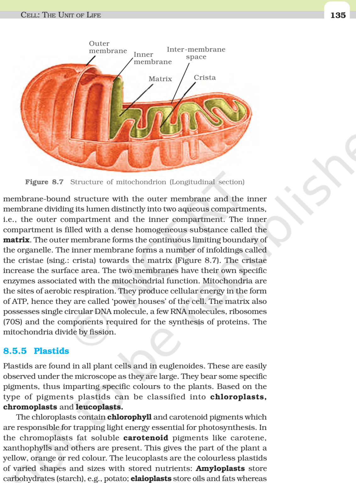 NCERT Book Class 11 (Biology) Chapter 8 Cell The Unit of Life