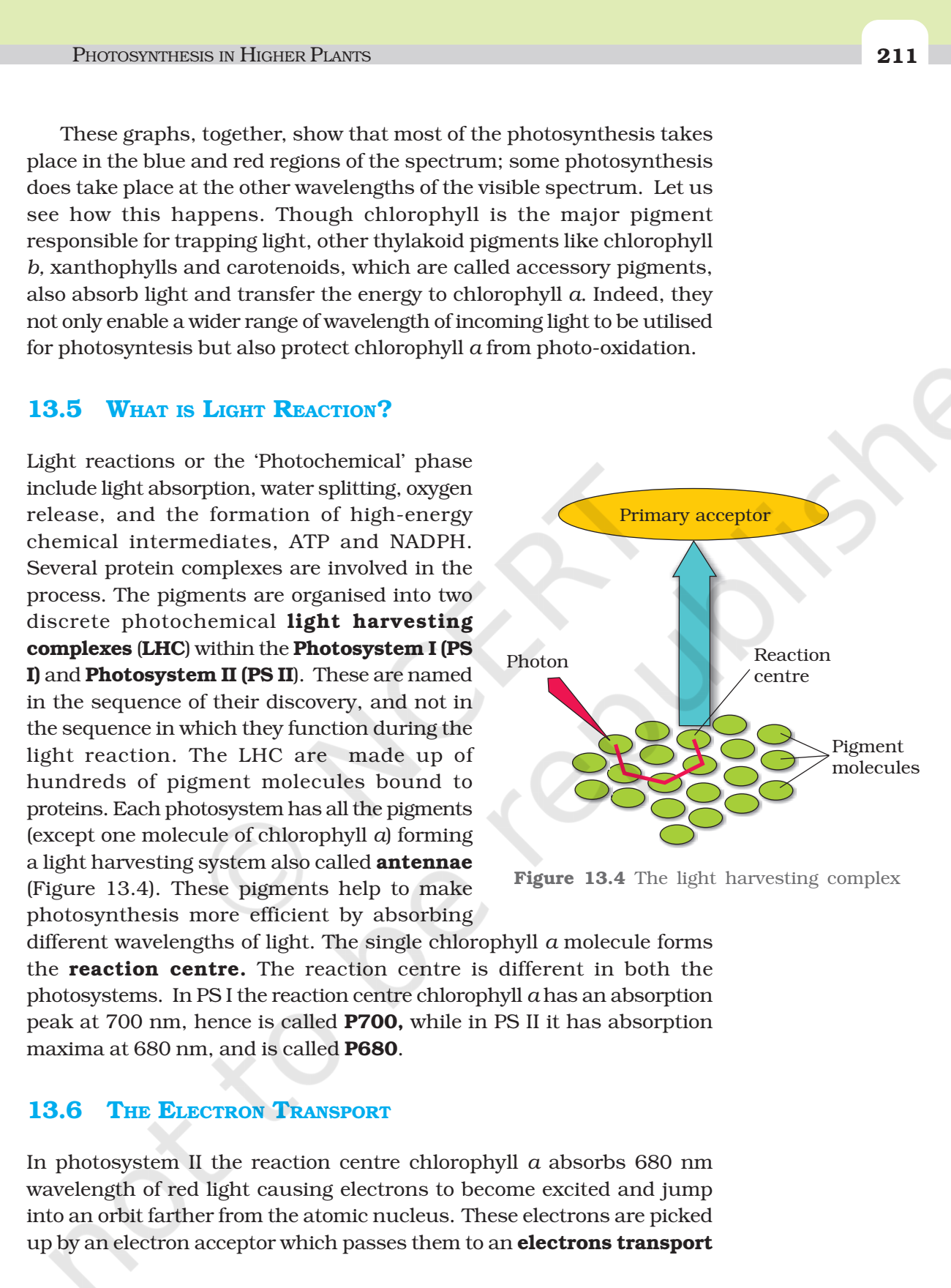 NCERT Book Class 11 (Biology) Chapter 13 Photosynthesis in Higher Plants