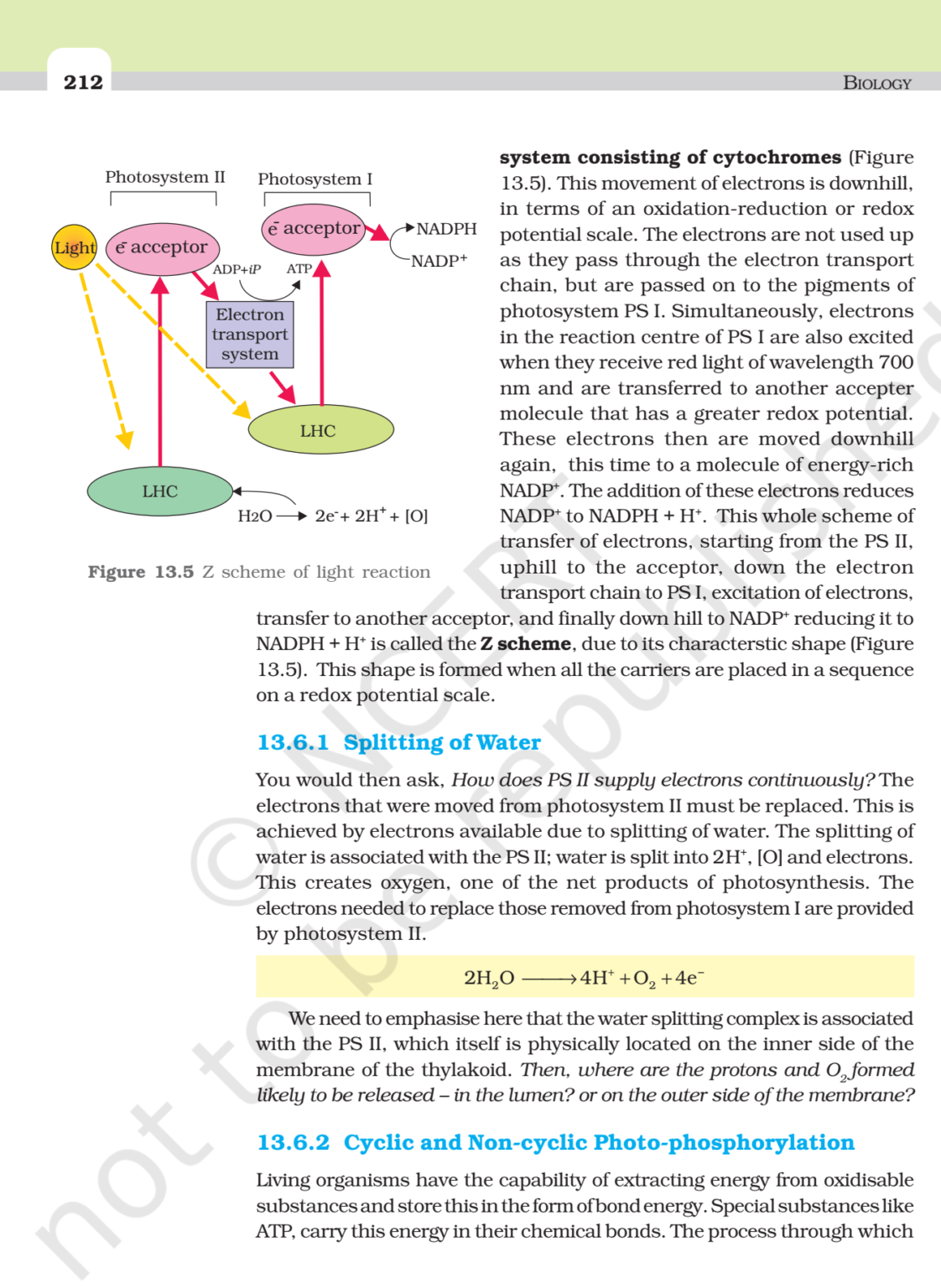 NCERT Book Class 11 (Biology) Chapter 13 Photosynthesis in Higher Plants