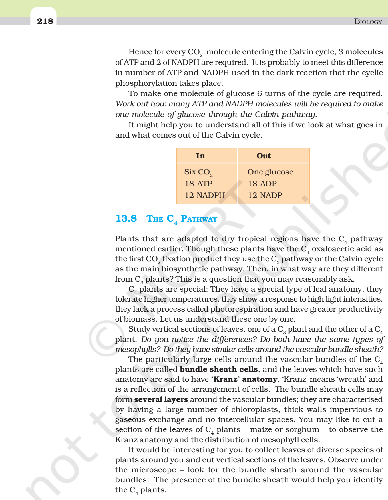 NCERT Book Class 11 (Biology) Chapter 13 Photosynthesis in Higher Plants