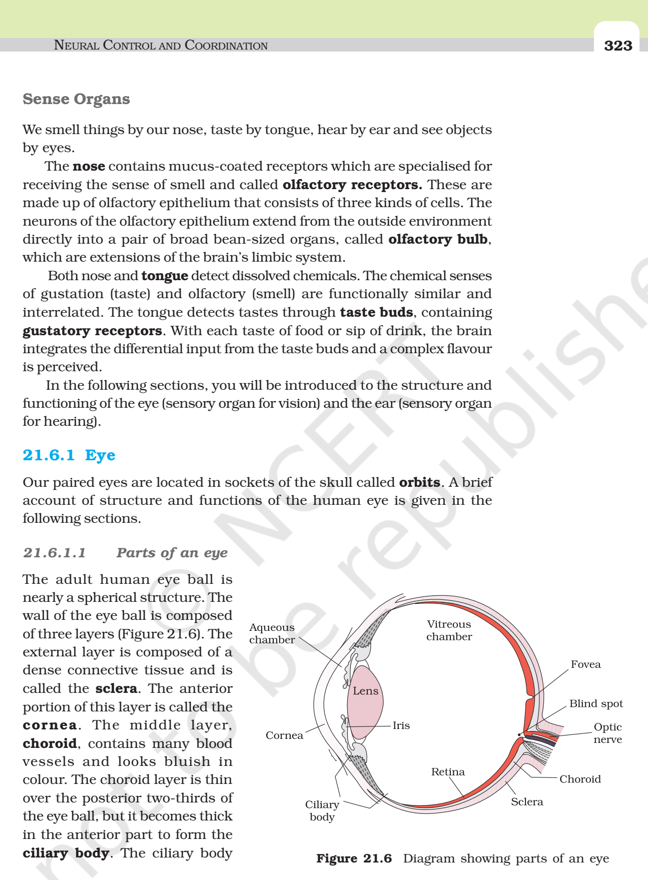 NCERT Book Class 11 (Biology) Chapter 21 Neural Control and Coordination