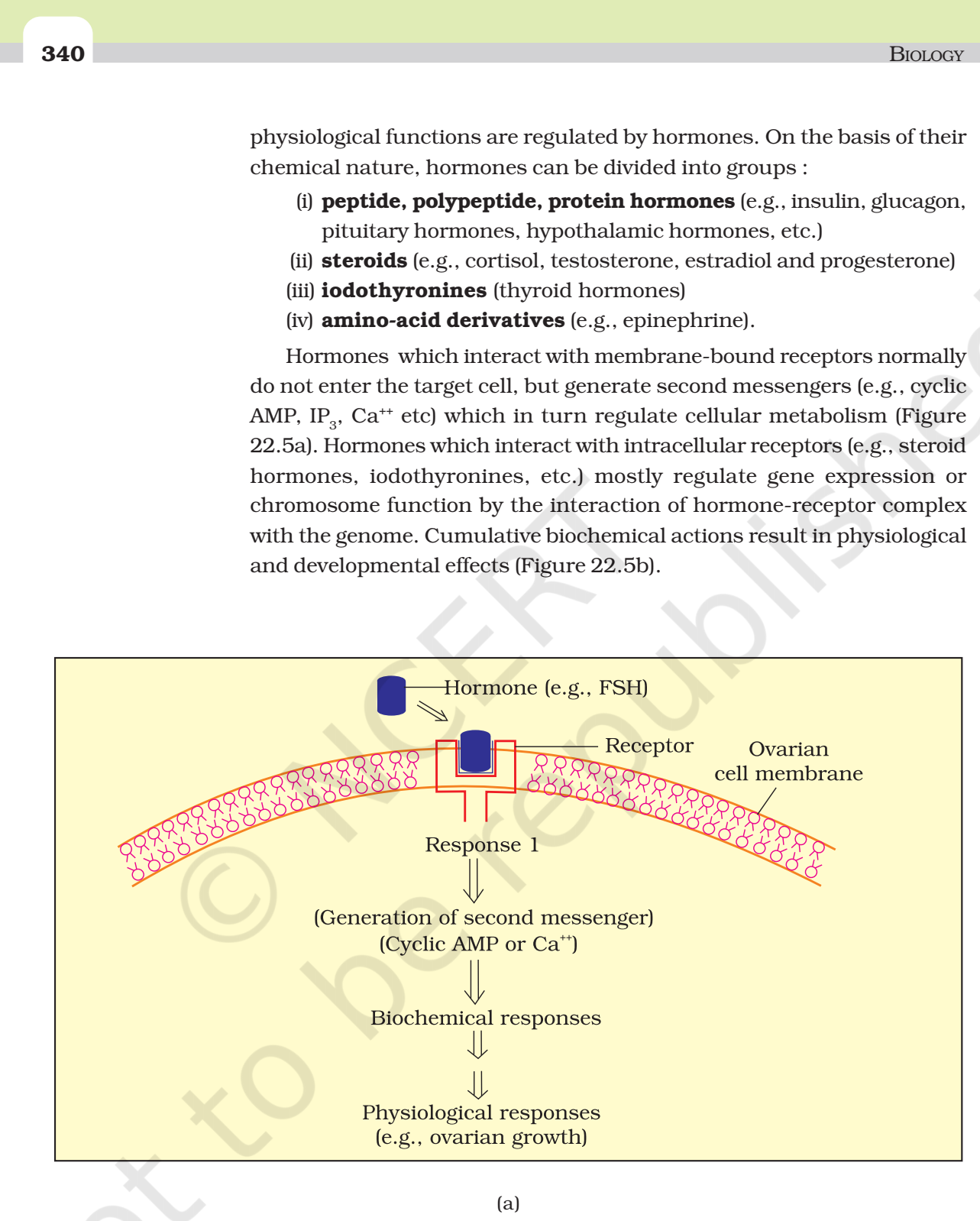 Ncert Book Class 11 Biology Chapter 22 Chemical Coordination And