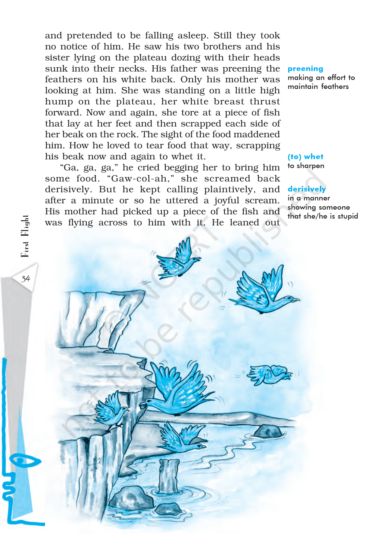 NCERT Book Class 10 (English) Chapter 3 Two Stories about Flying
