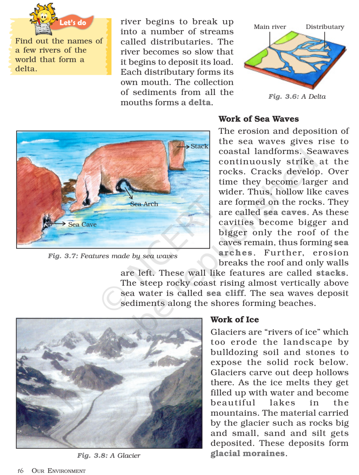 NCERT Books For Class 7 Social Science (Geography) Our Changing Earth