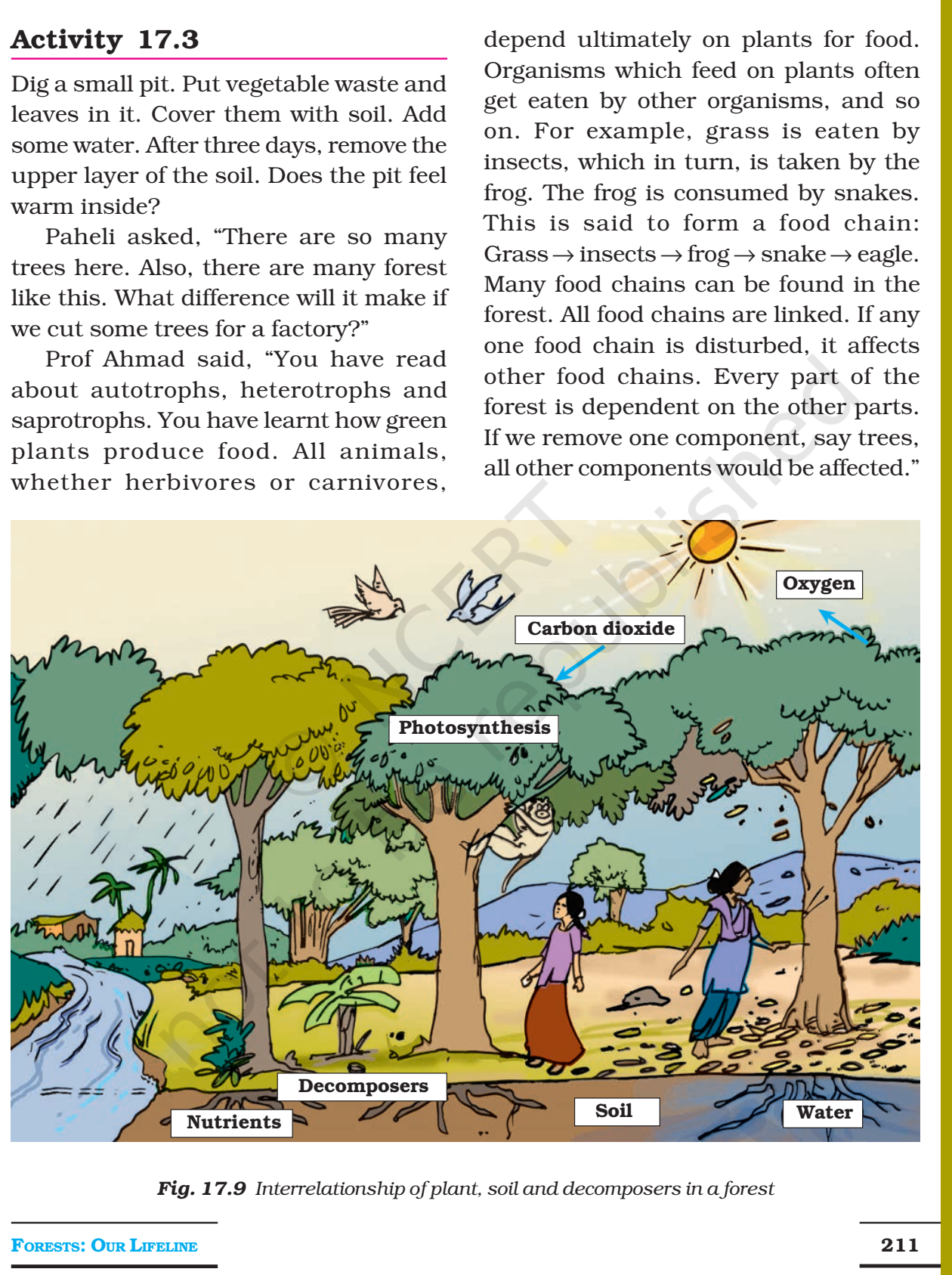 NCERT Books For Class 7 Science Forests: Our Lifeline