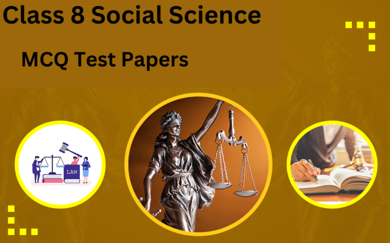 Class 8 Social Science MCQ Test Papers
