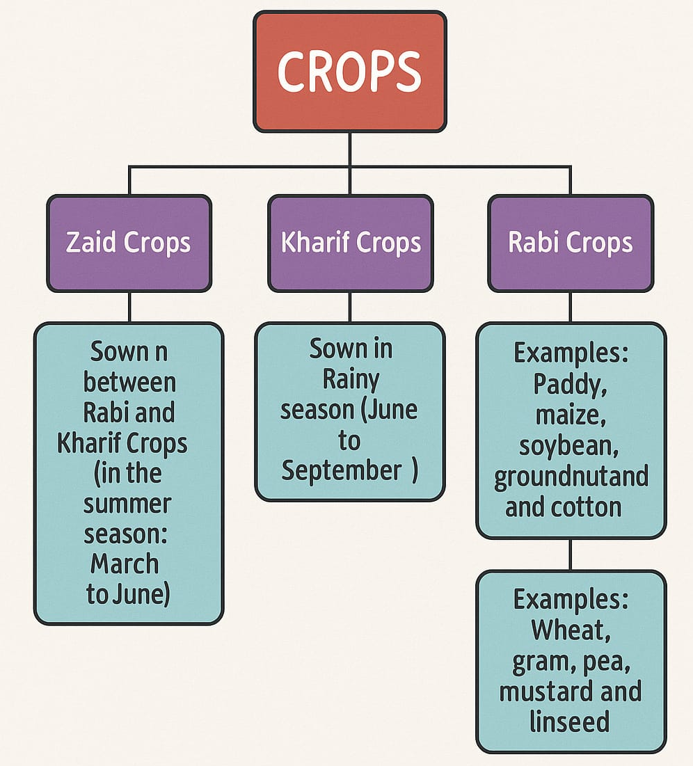 Crop Production and Management Biology Notes Class 8